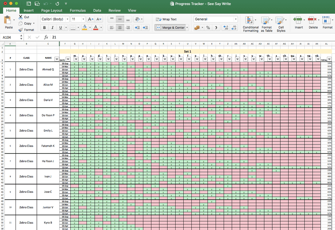 See Say Write - The Program
